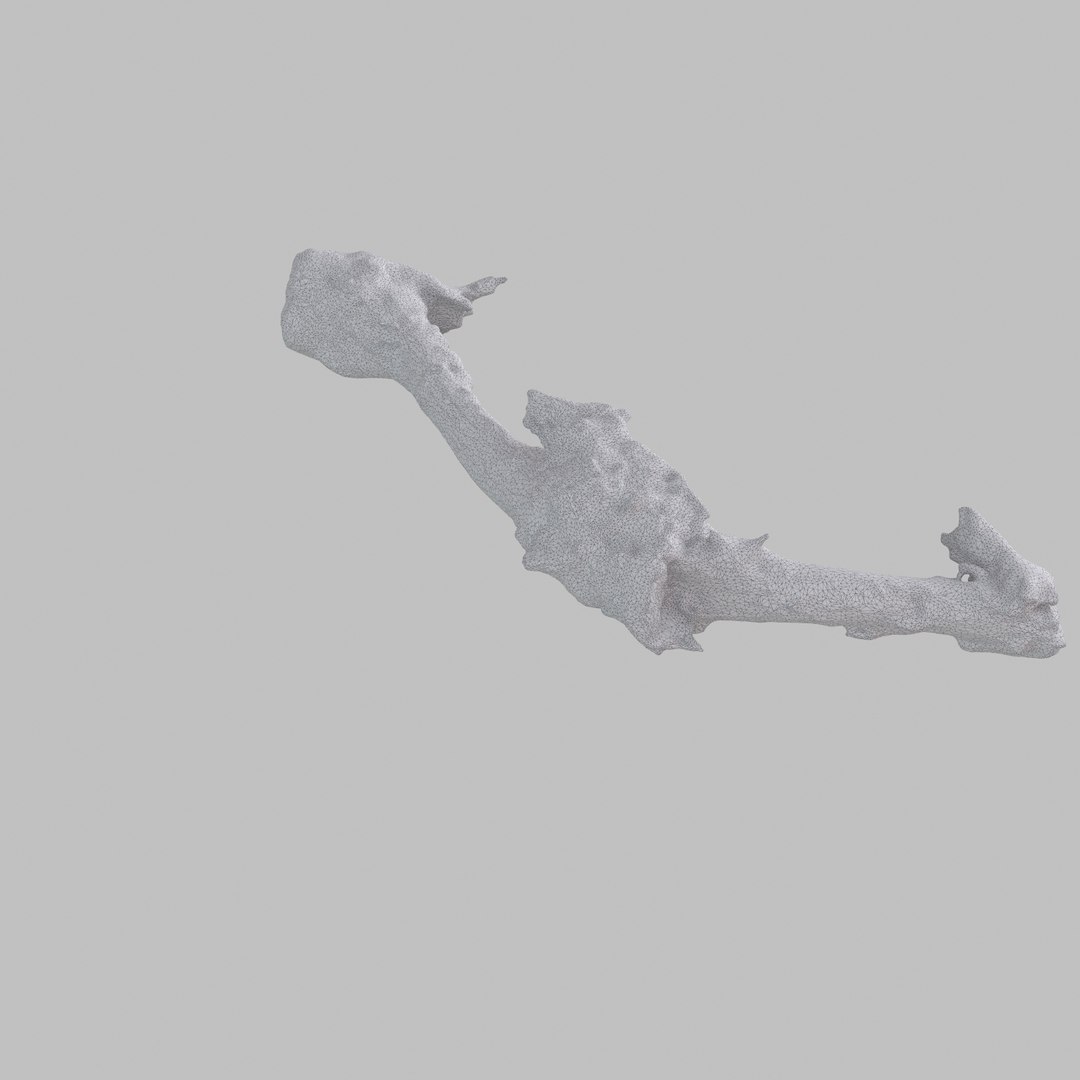 Chicken Leg Bone 3d Model