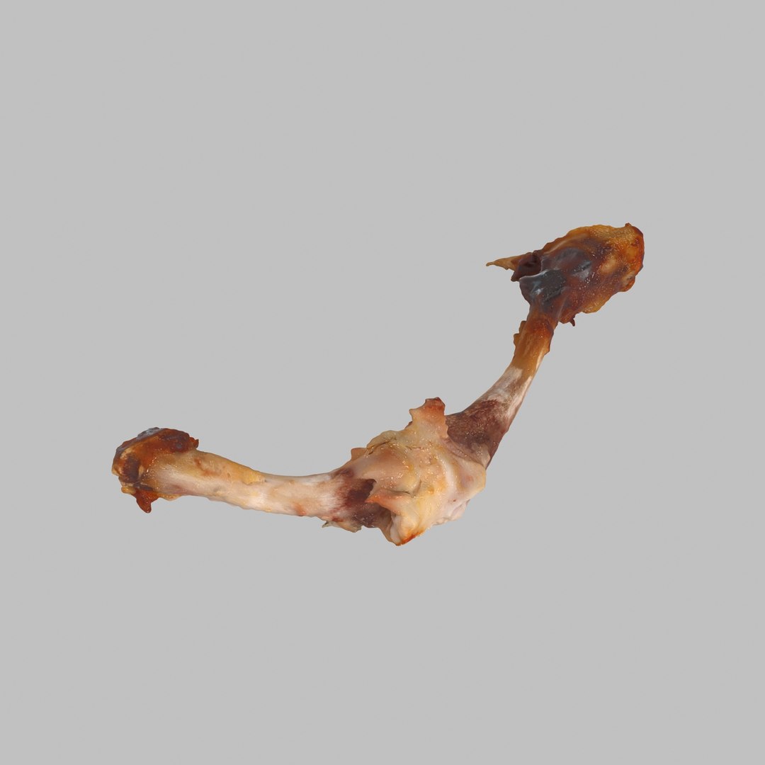 Chicken Leg Bone 3d Model
