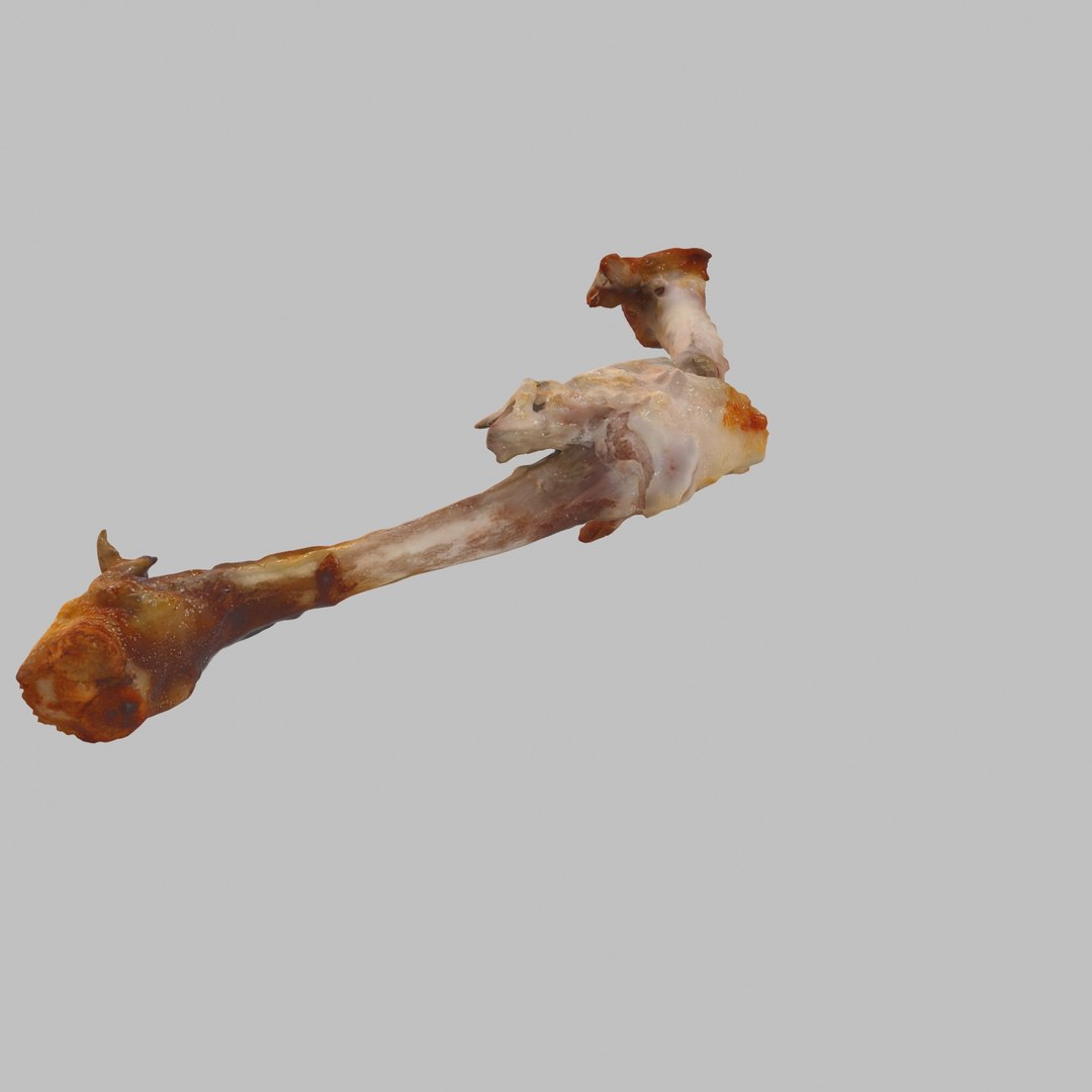 Chicken Leg Bone 3d Model