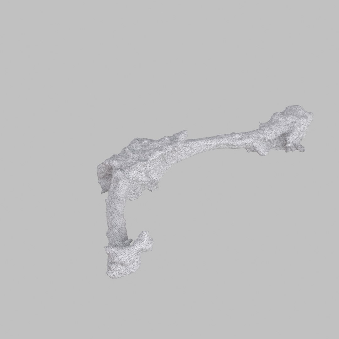 Chicken Leg Bone 3d Model