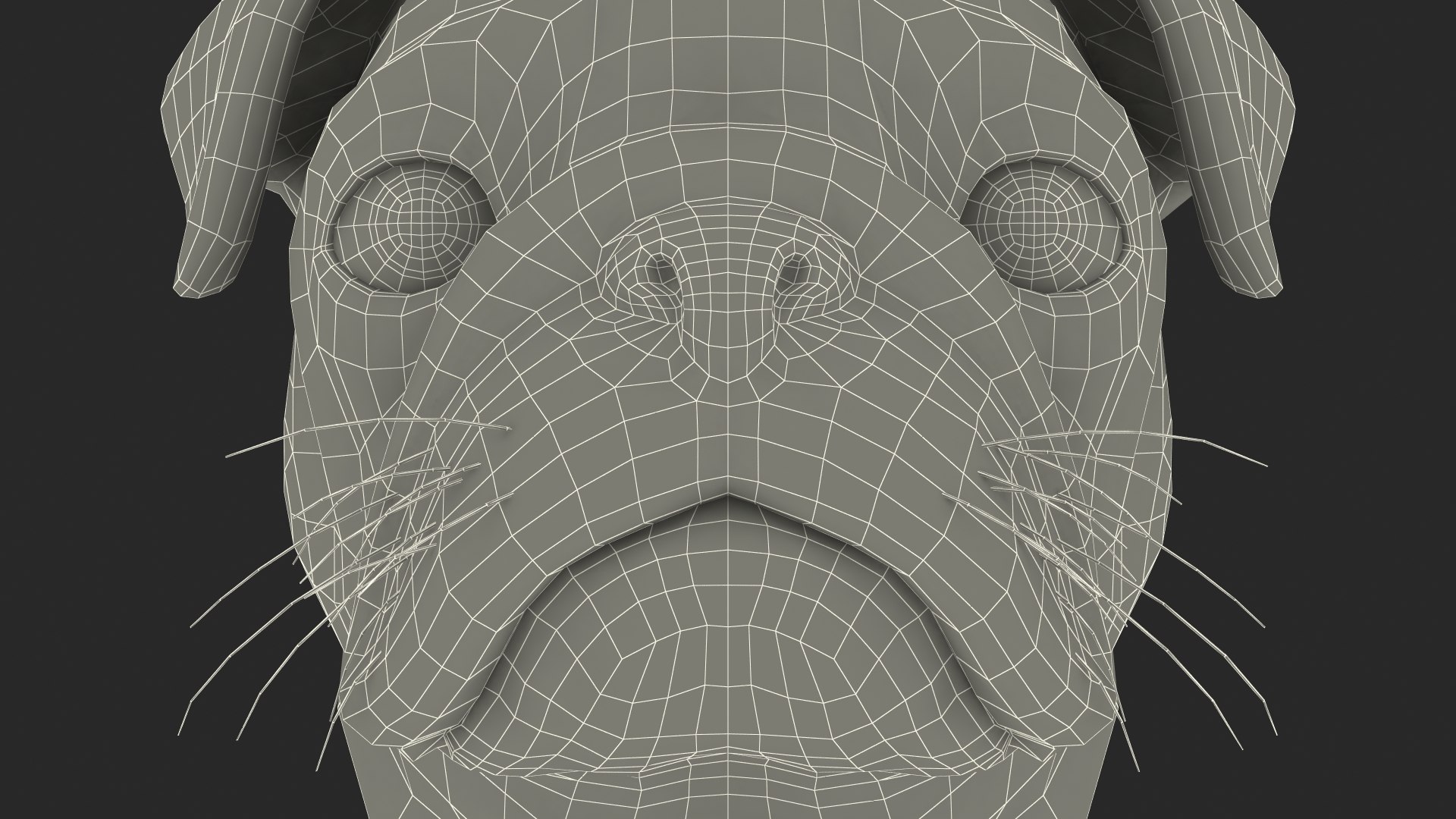 3D pug dog head - TurboSquid 1681723