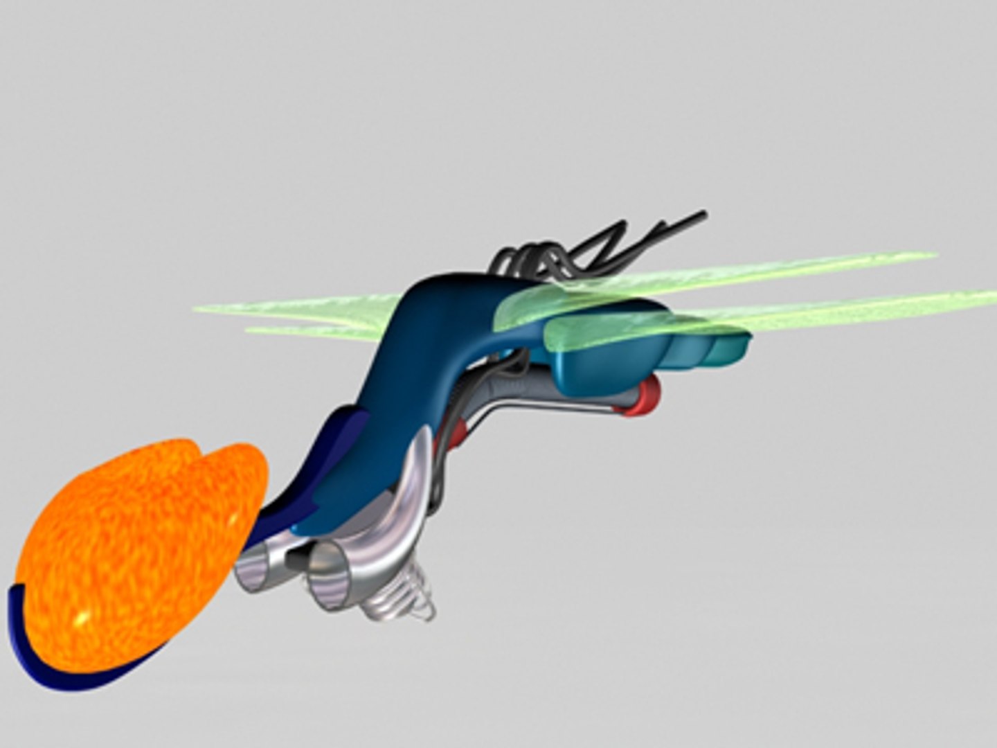 3d Model Of Motor Insect