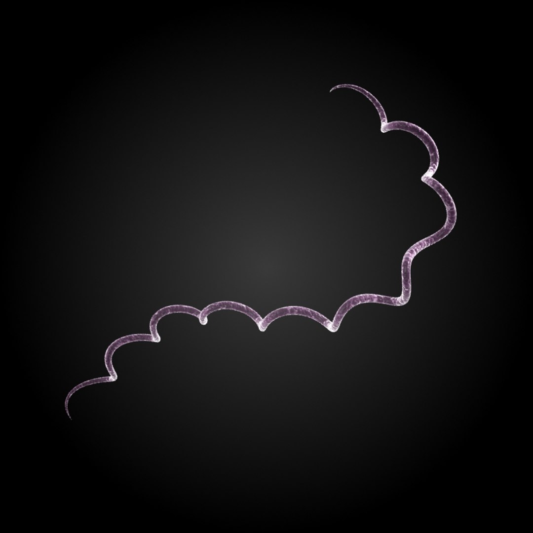 Microbes Micro Organisms 3d 3ds