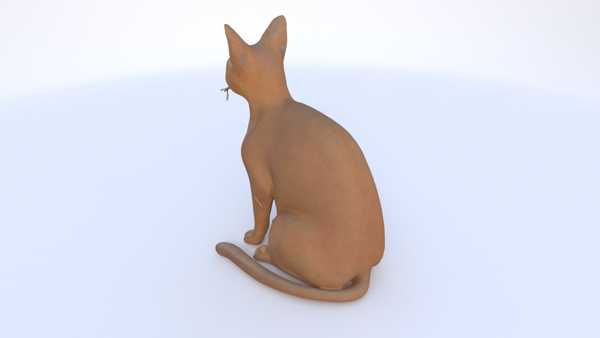 3D Abyssinian Seated Model - TurboSquid 2334339