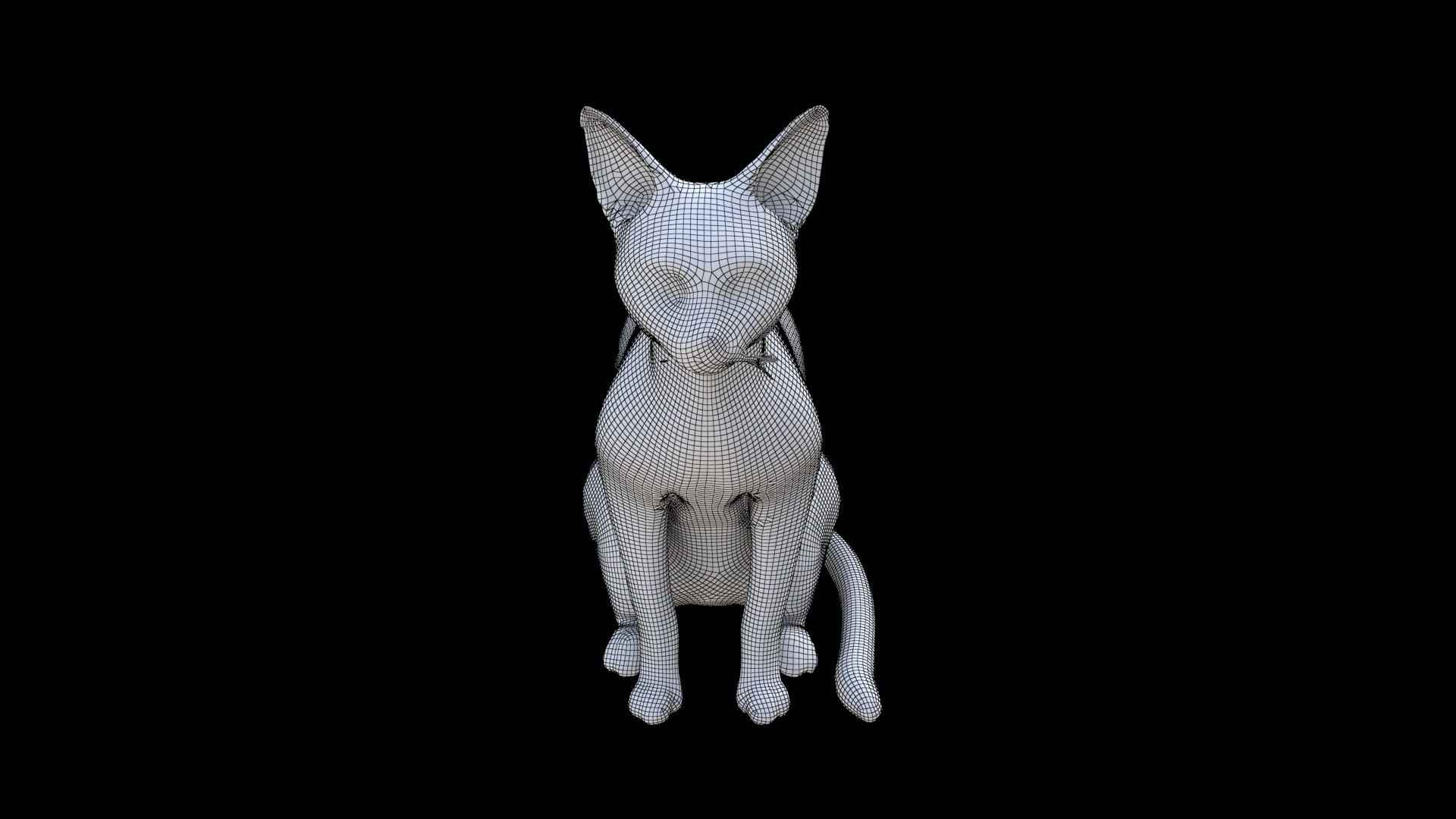 3D Abyssinian Seated Model - TurboSquid 2334339