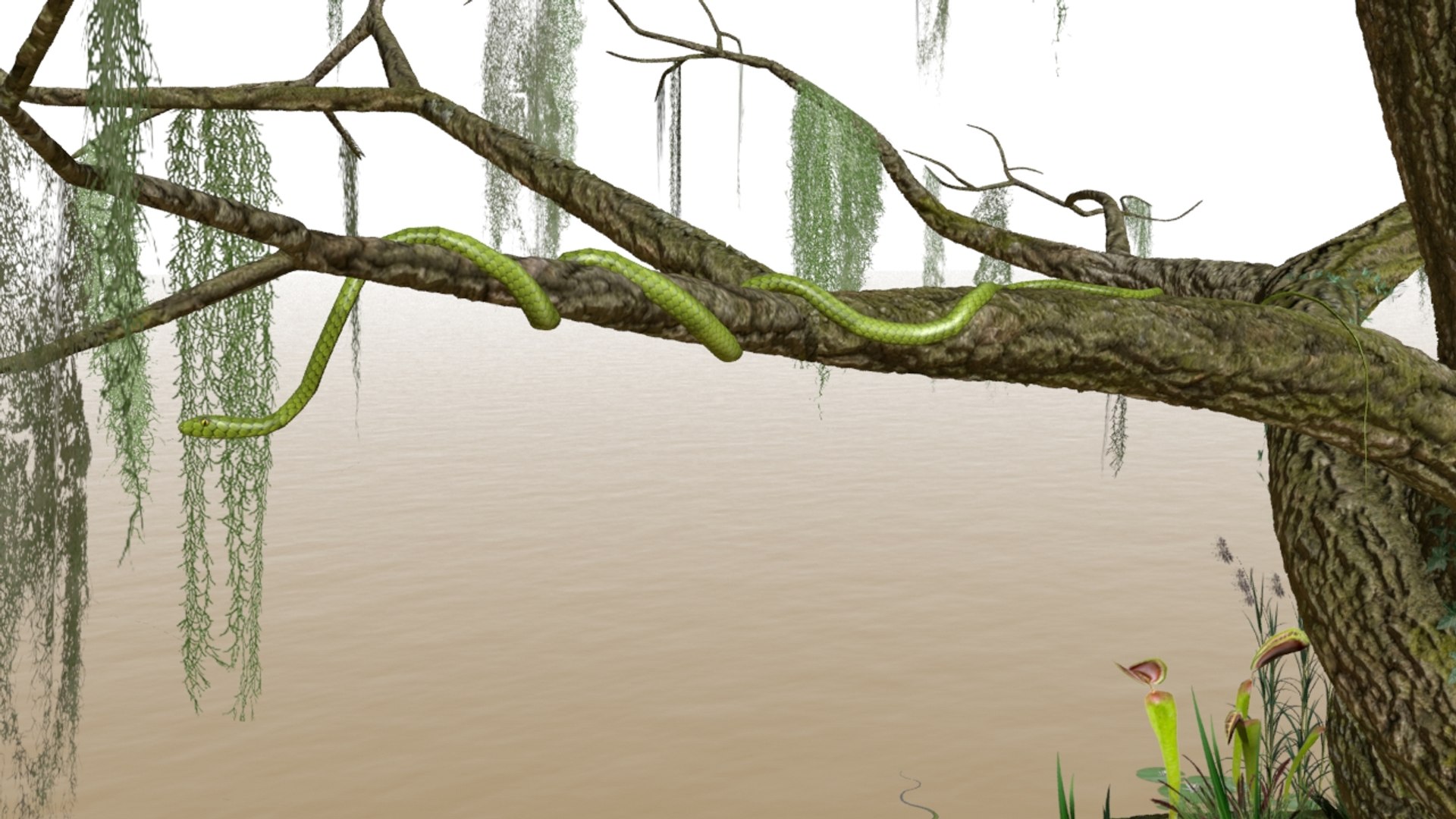 Swamp Snake Turtle Model - TurboSquid 1373154
