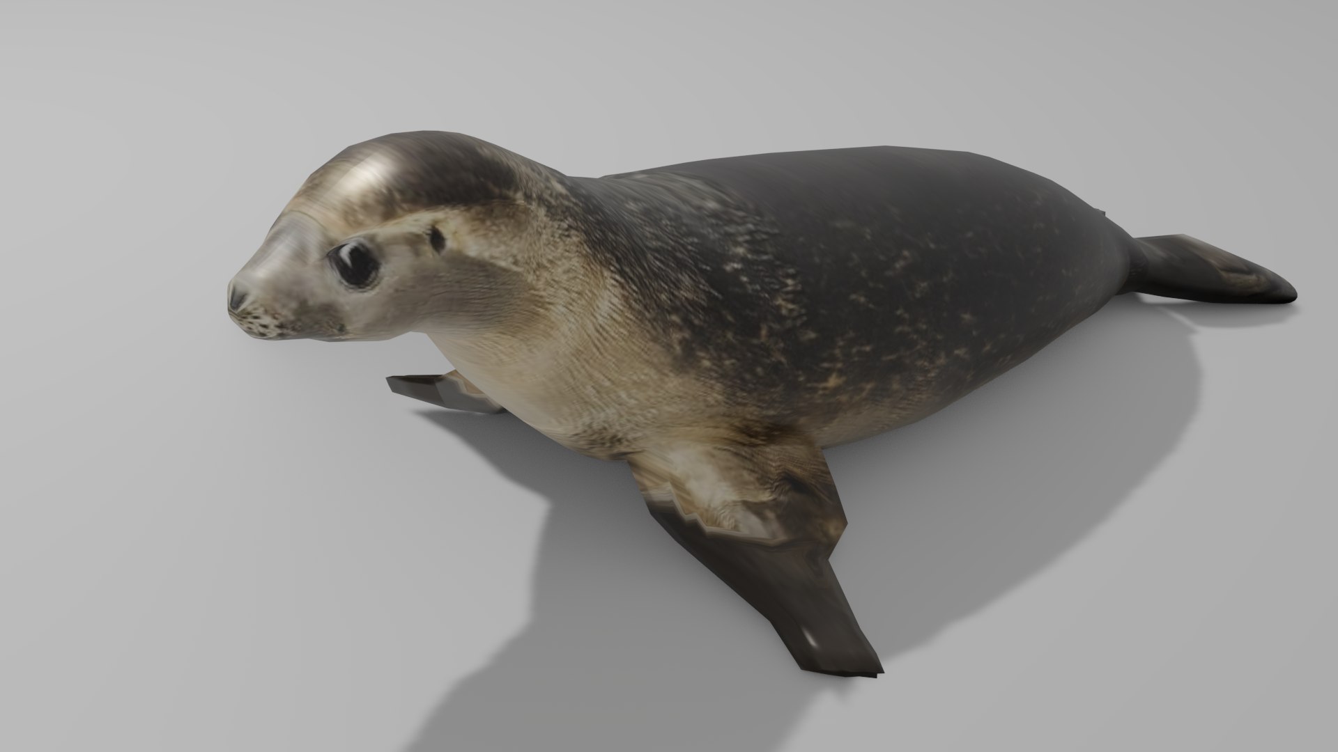 Seal Model - TurboSquid 2021084