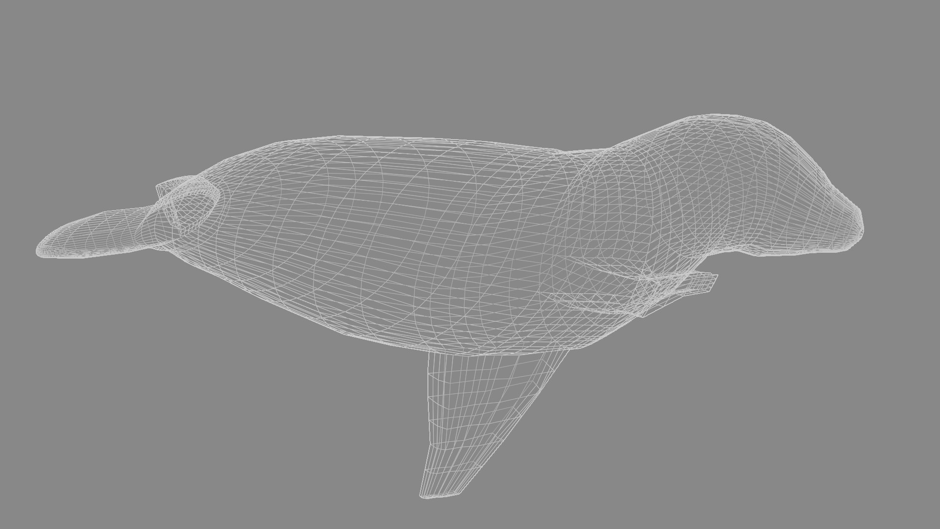 Seal Model - TurboSquid 2021084