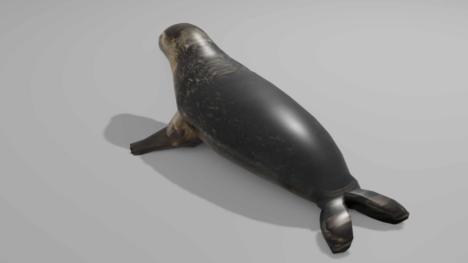 Seal Model - TurboSquid 2021084
