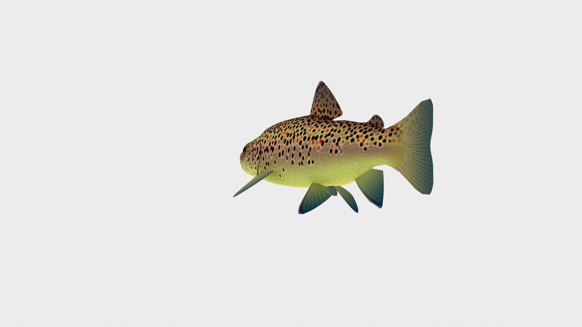 3D Brown Trout FishBrown Trout Fish 3D Model Low Poly - TurboSquid 2242556
