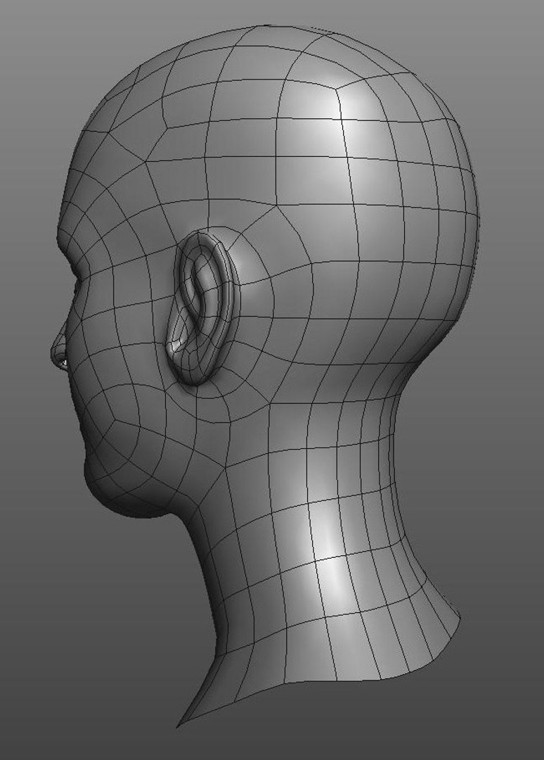 3d Character Head
