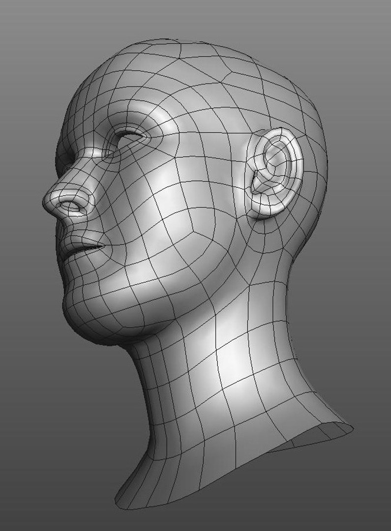 3d Character Head