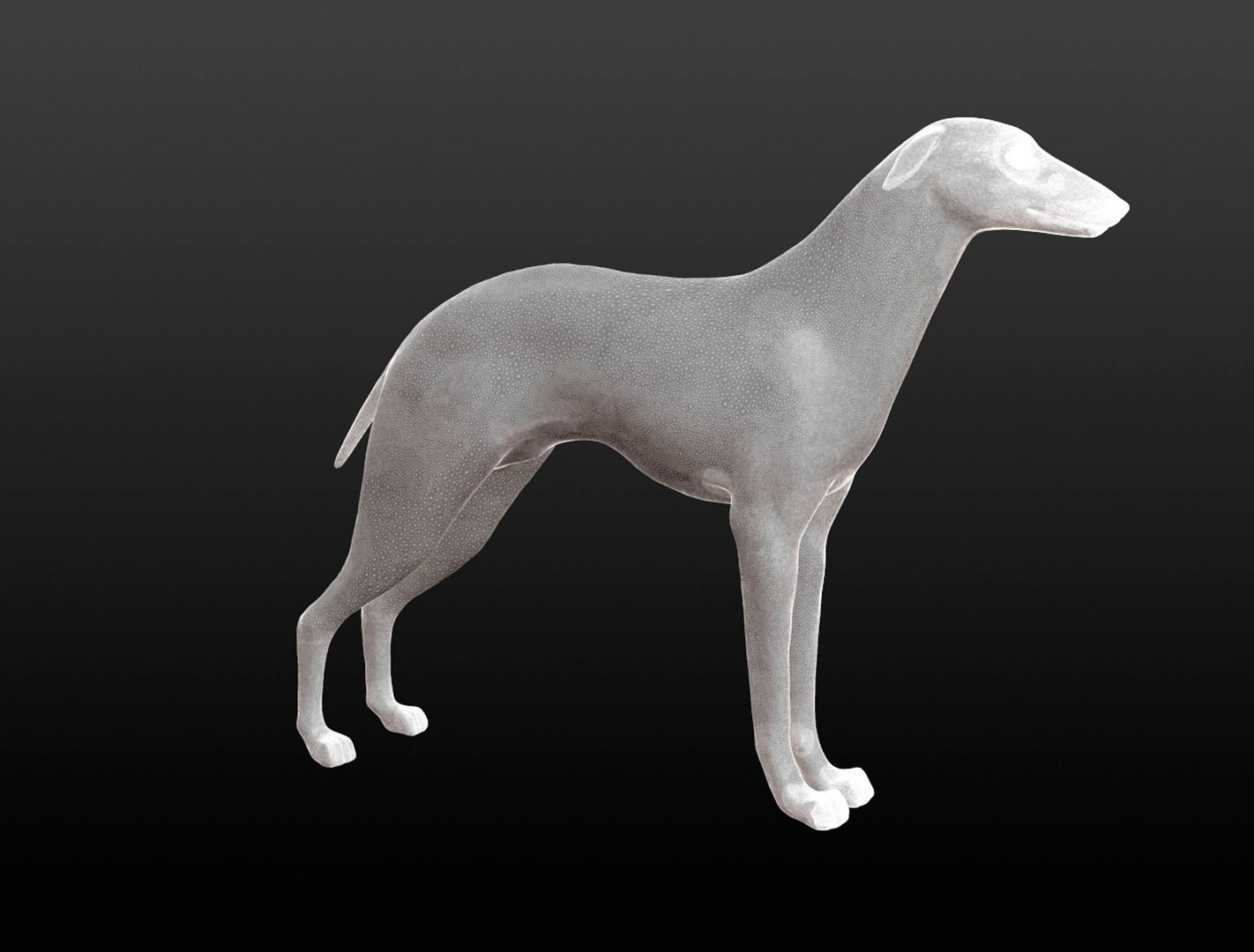 Dog Base Mesh 3D Model - TurboSquid 1696581