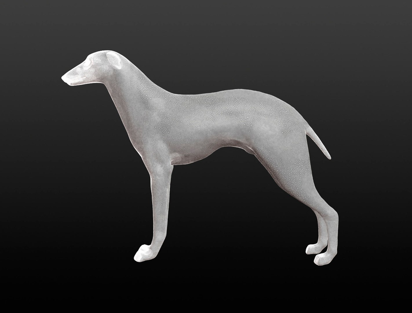 Dog Base Mesh 3D Model - TurboSquid 1696581