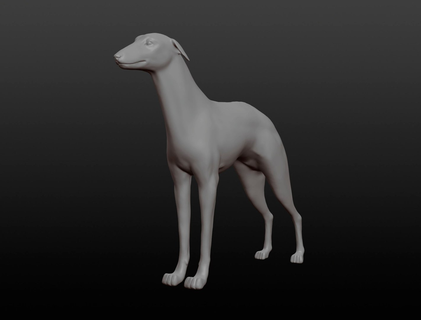 Dog Base Mesh 3D Model - TurboSquid 1696581