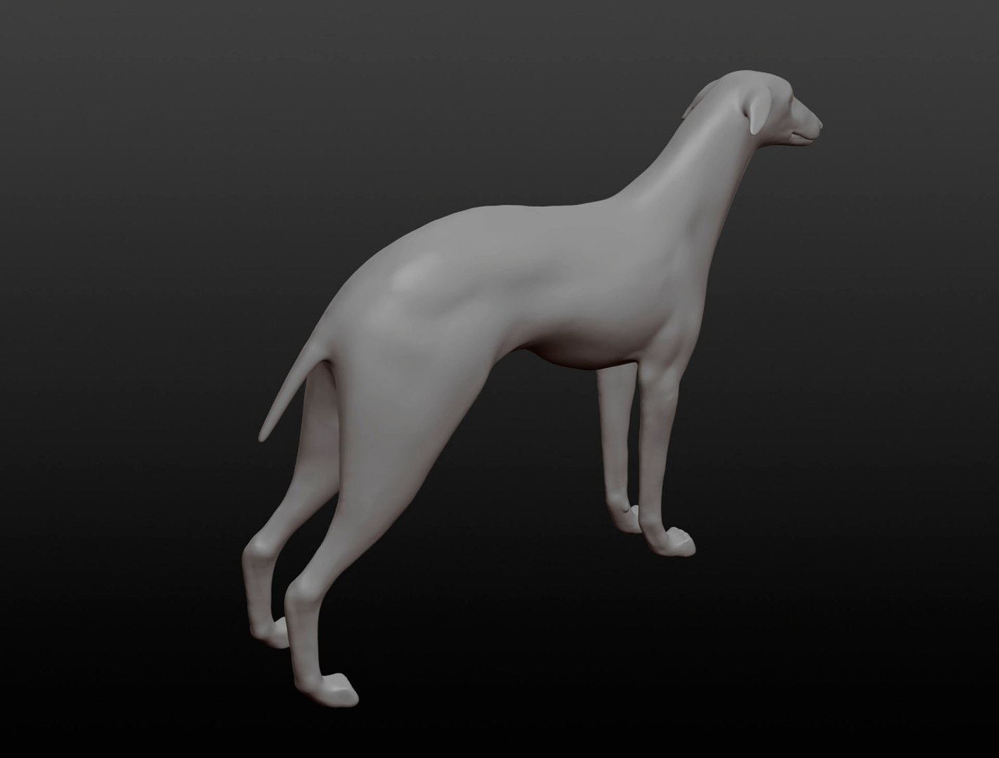 Dog Base Mesh 3D Model - TurboSquid 1696581