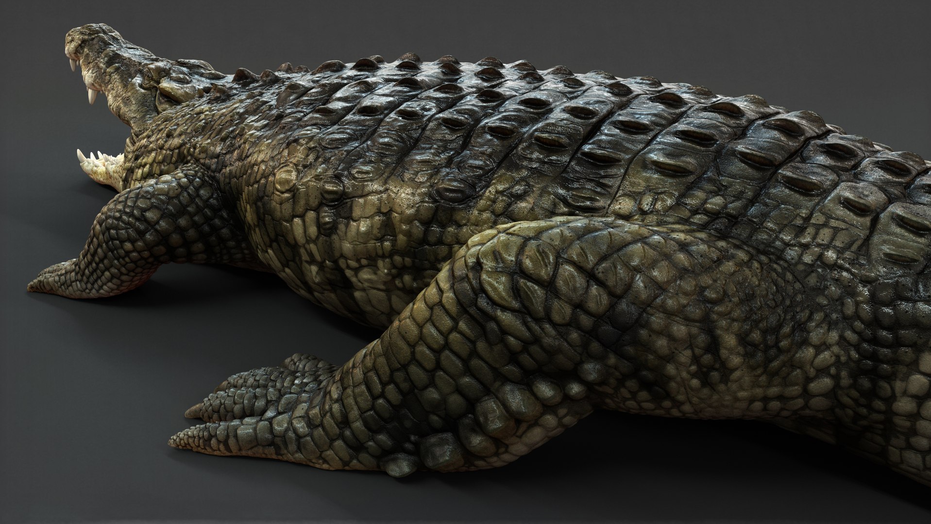 3D Crocodile ANIMATED - TurboSquid 2198086