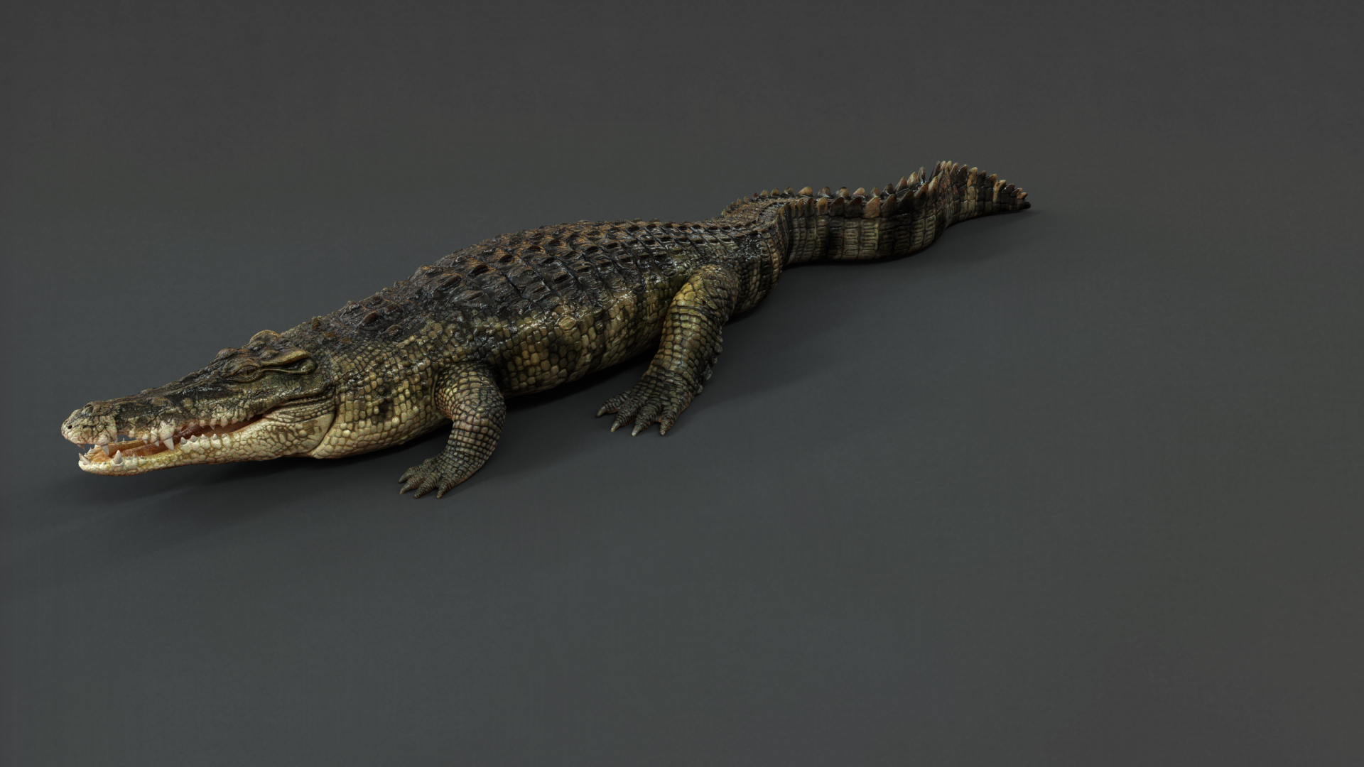 3D Crocodile ANIMATED - TurboSquid 2198086