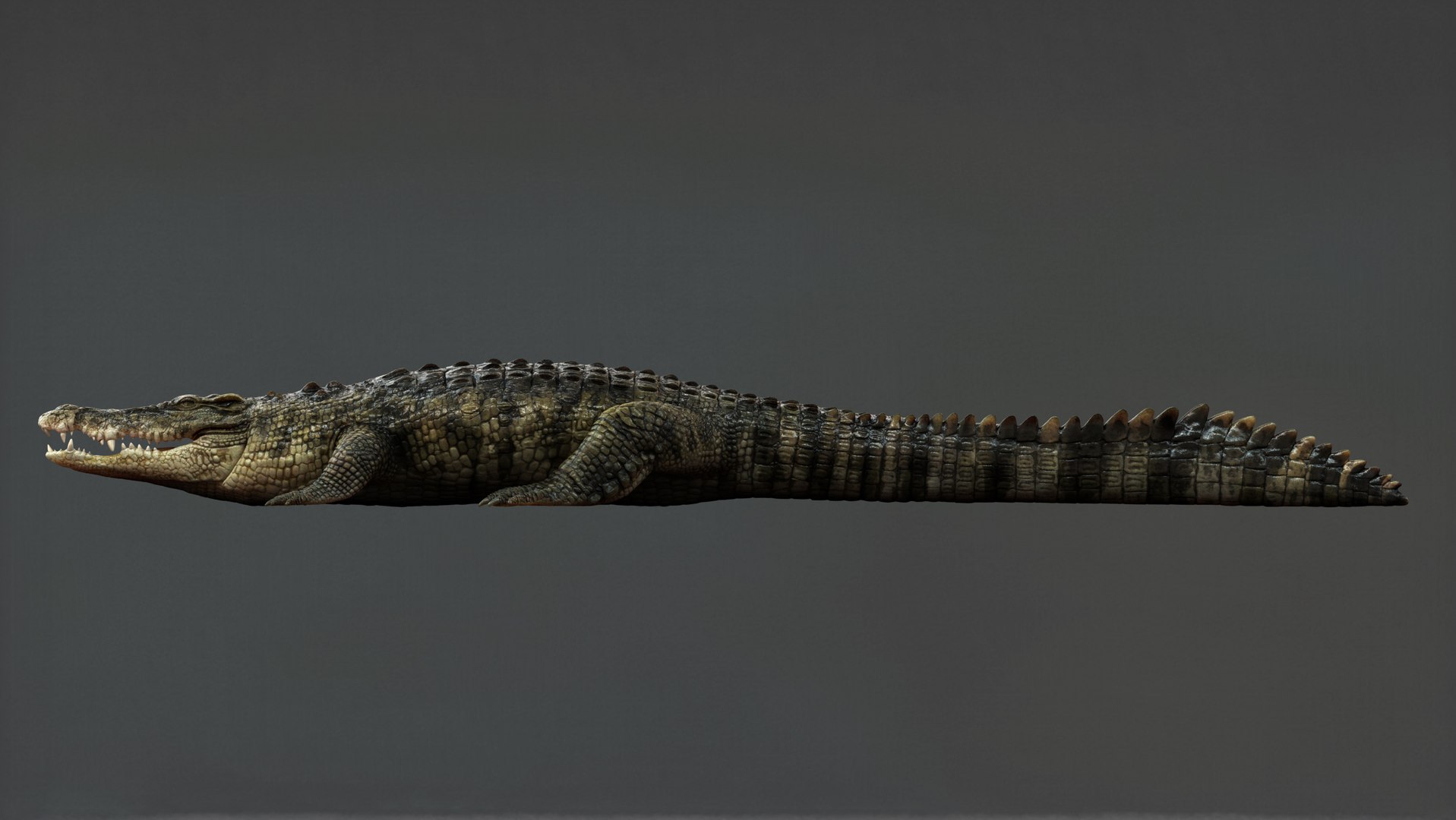 3D Crocodile ANIMATED - TurboSquid 2198086