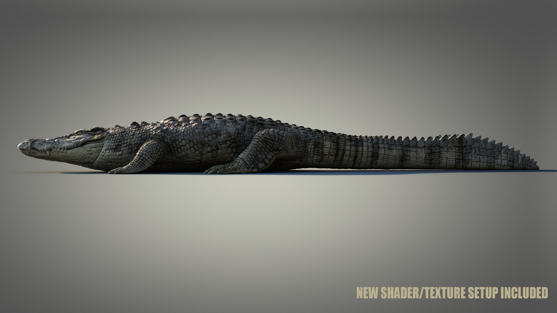 3D Crocodile ANIMATED - TurboSquid 2198086
