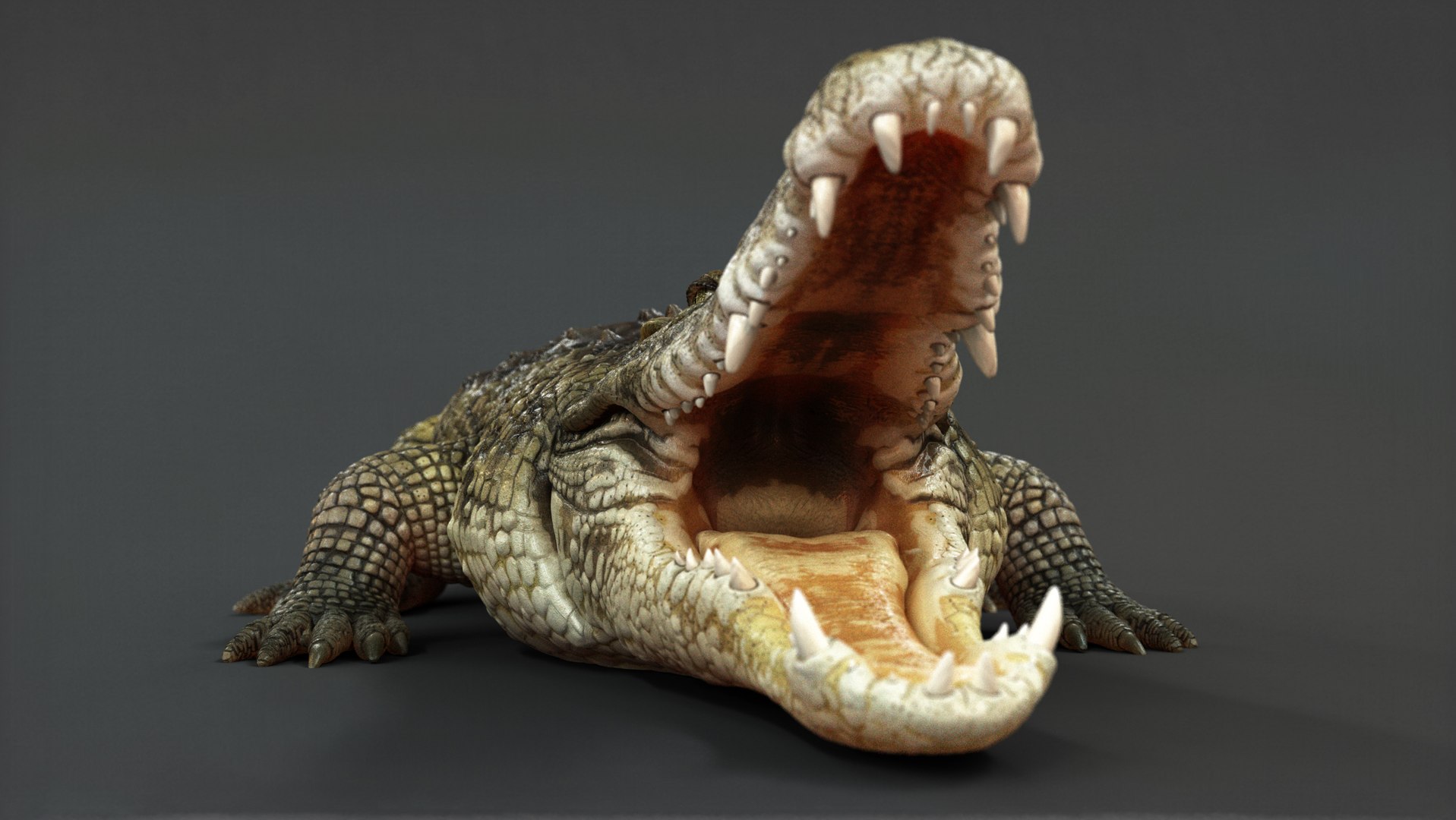3D Crocodile ANIMATED - TurboSquid 2198086