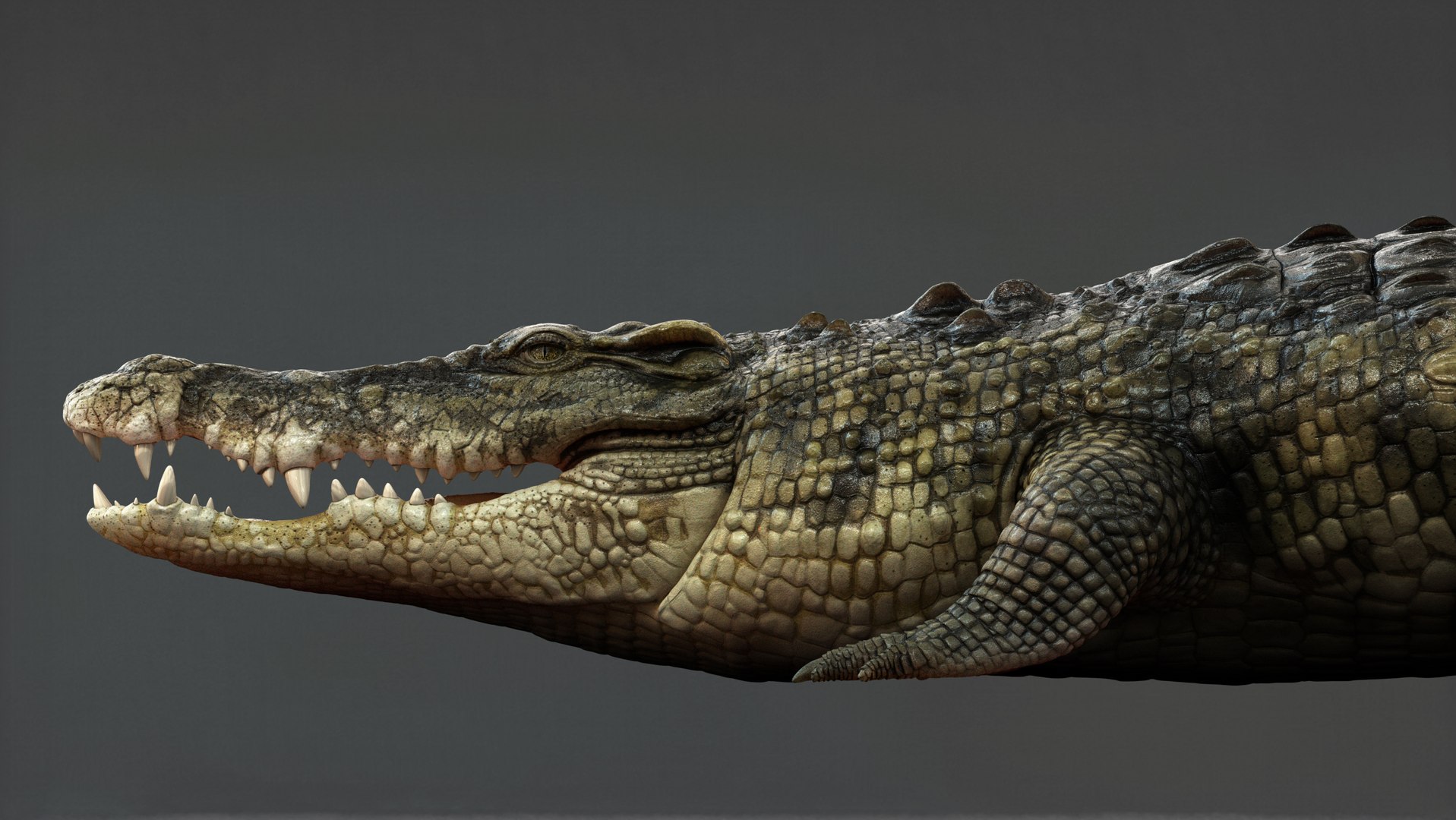 3D Crocodile ANIMATED - TurboSquid 2198086