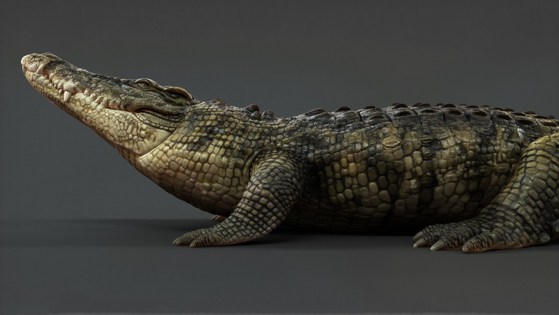 3D Crocodile ANIMATED - TurboSquid 2198086