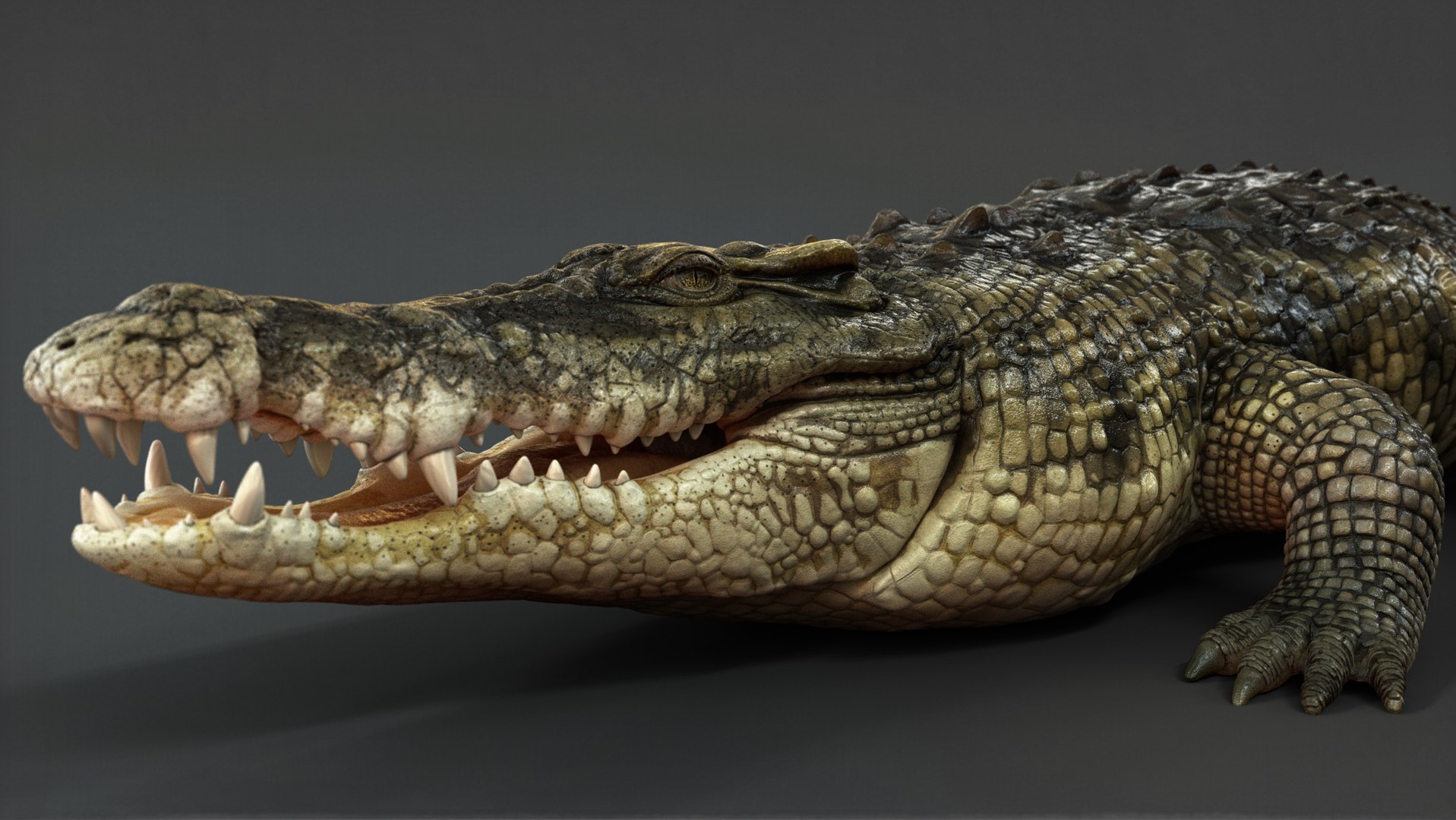 3D Crocodile ANIMATED - TurboSquid 2198086