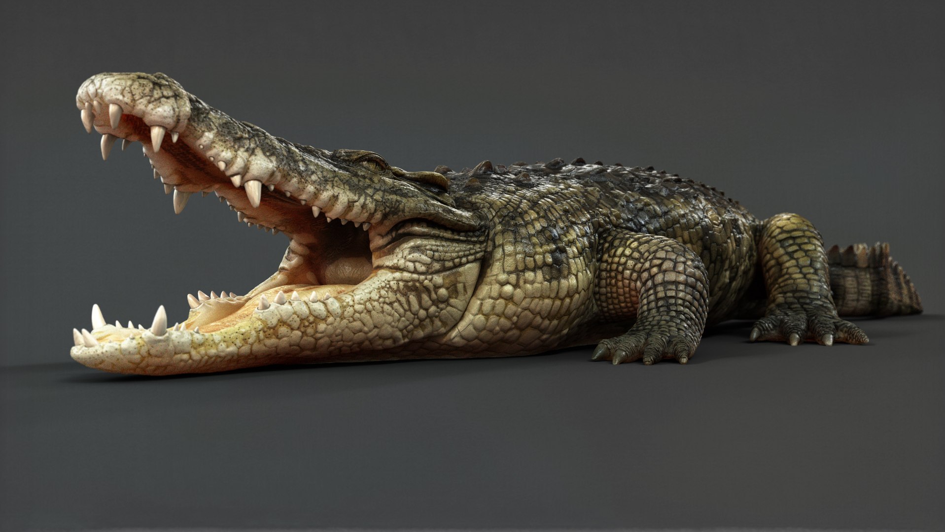 3D Crocodile ANIMATED - TurboSquid 2198086