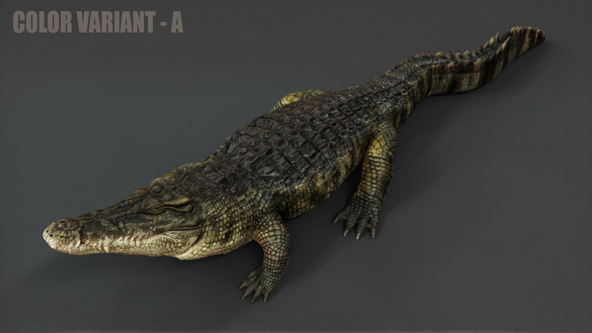 3D Crocodile ANIMATED - TurboSquid 2198086