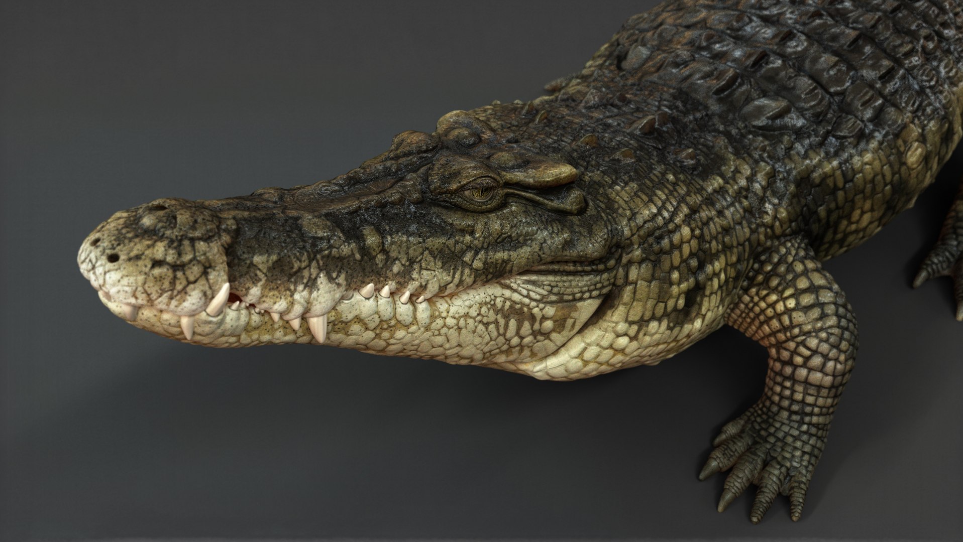 3D Crocodile ANIMATED - TurboSquid 2198086
