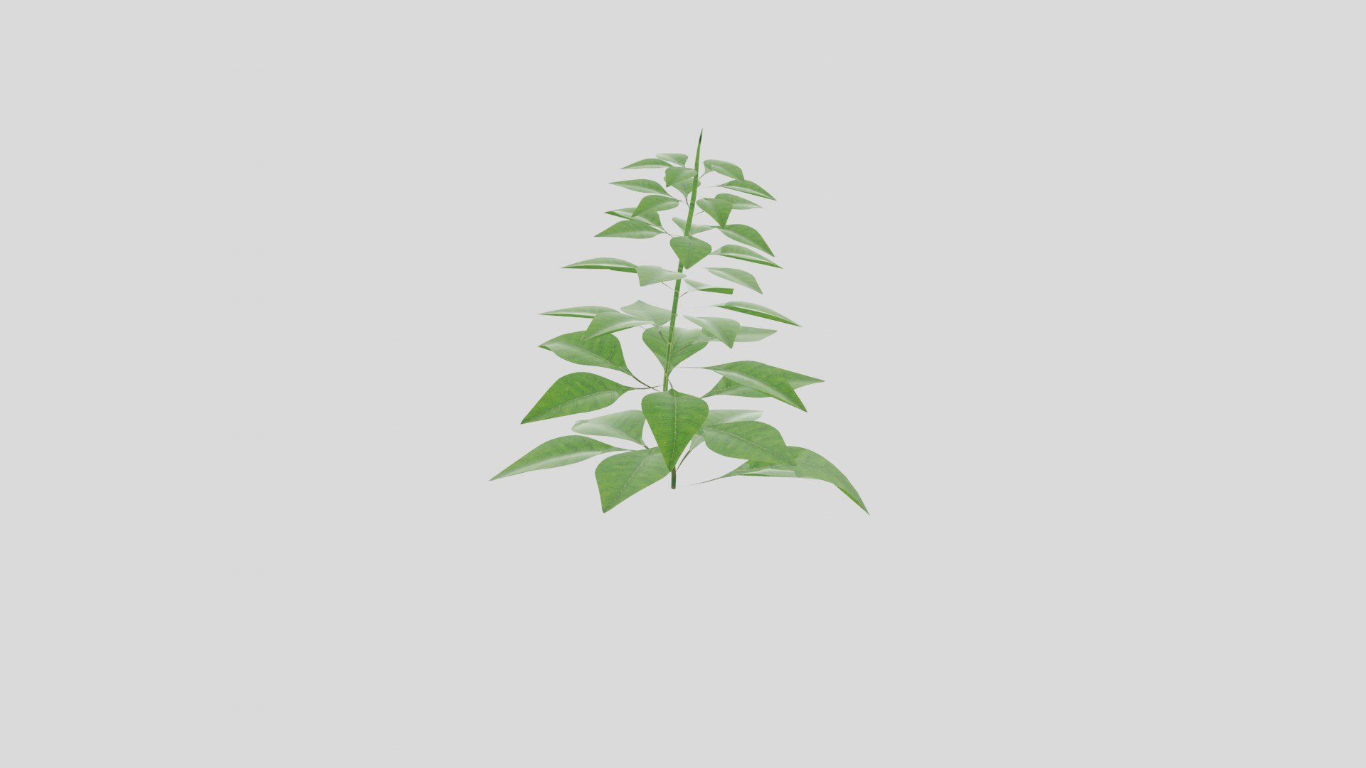 3D Simple Plant Model - TurboSquid 2052276