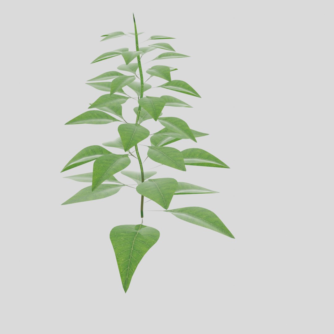 3D Simple Plant Model - TurboSquid 2052276