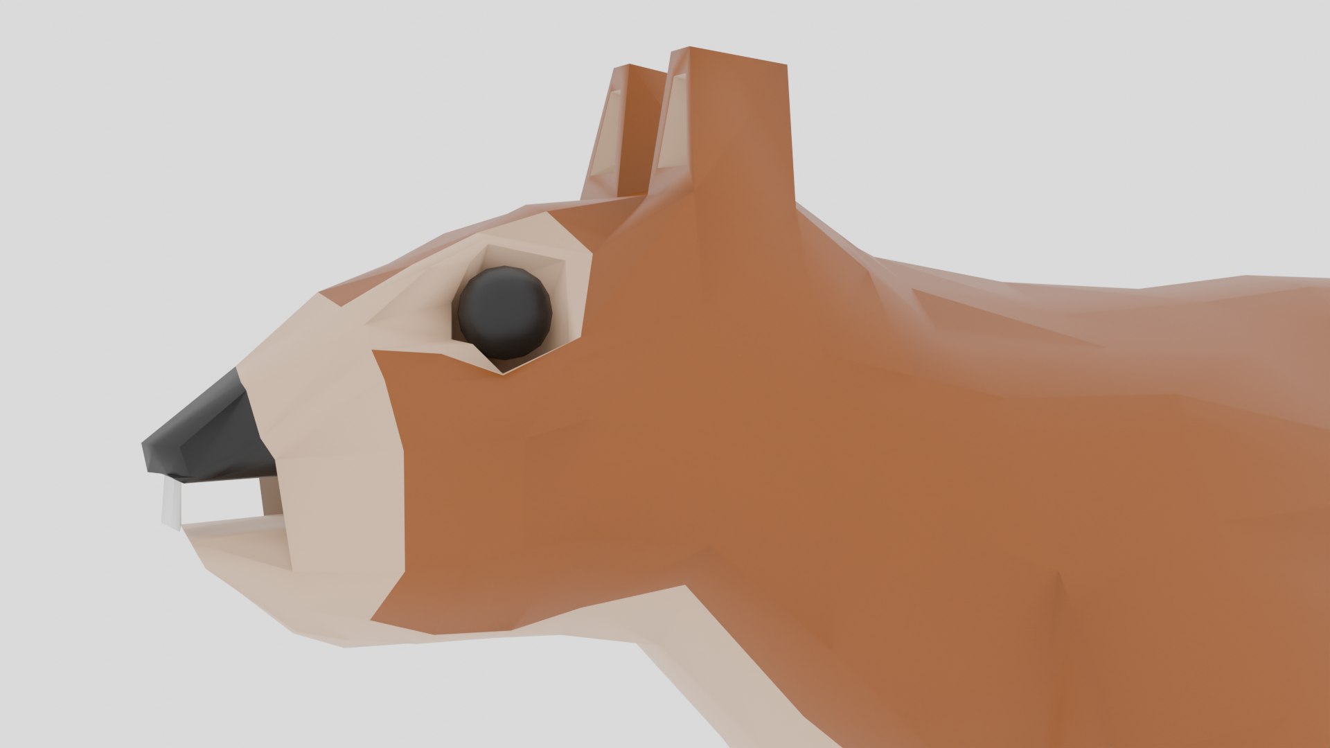 Squirrel Low Poly 3D Model - TurboSquid 2283235