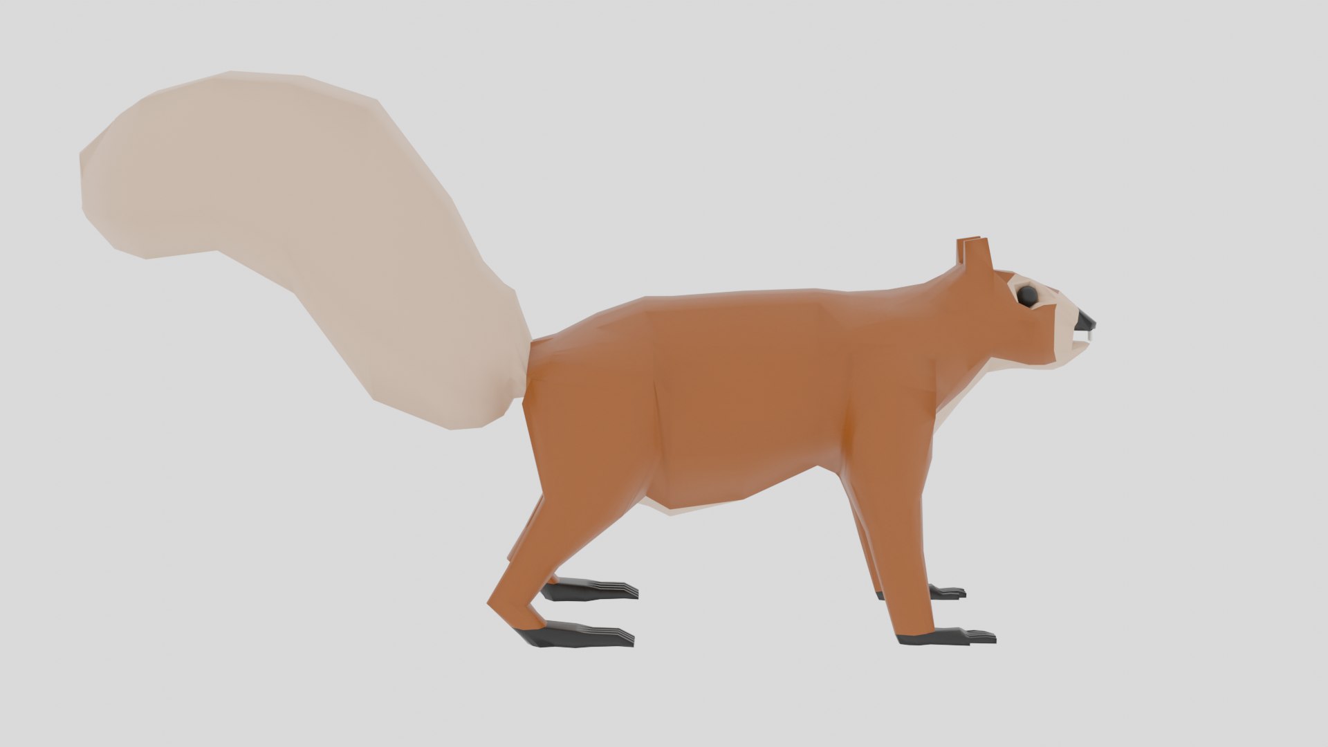 Squirrel Low Poly 3D Model - TurboSquid 2283235