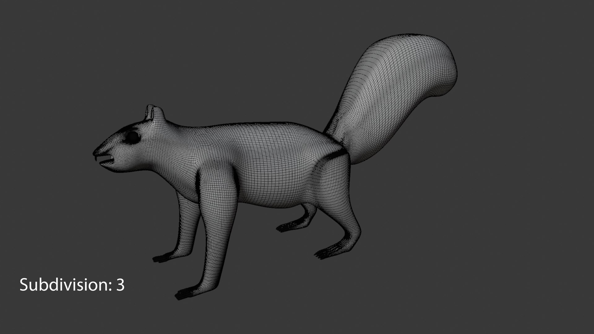 Squirrel Low Poly 3D Model - TurboSquid 2283235