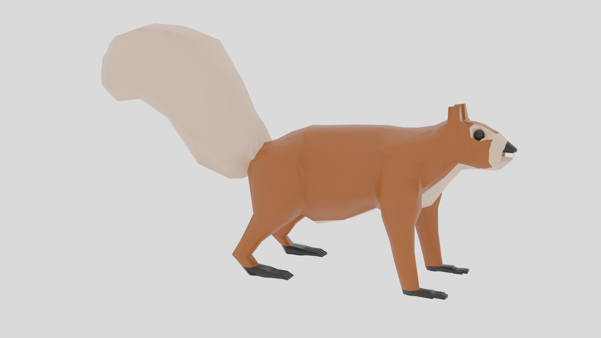 Squirrel Low Poly 3D Model - TurboSquid 2283235