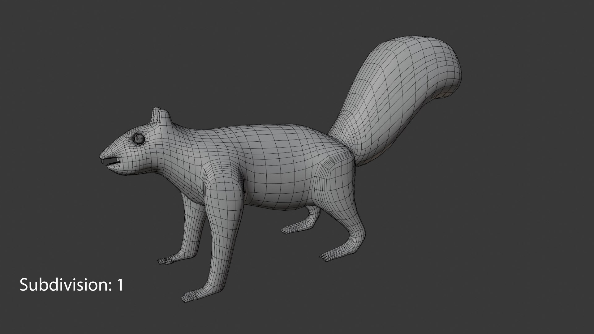 Squirrel Low Poly 3D Model - TurboSquid 2283235