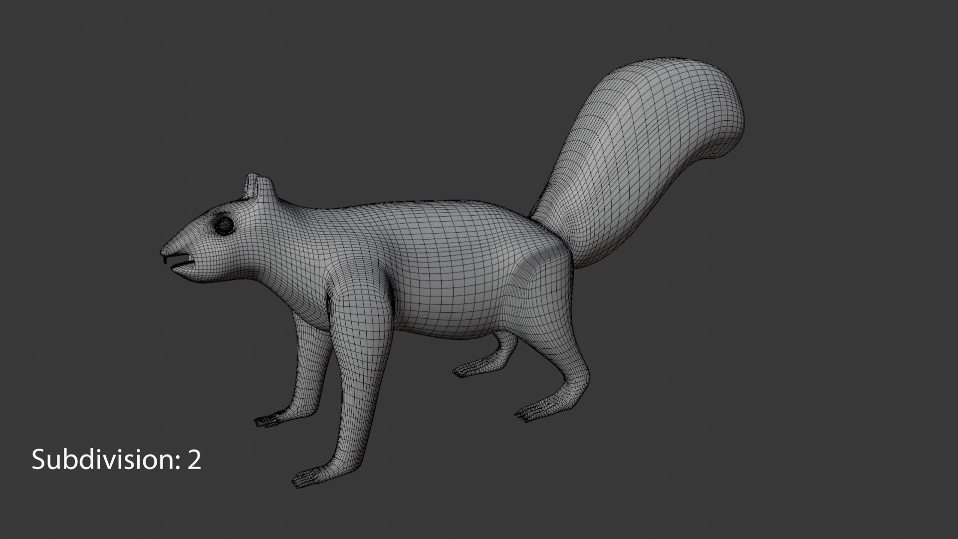 Squirrel Low Poly 3D Model - TurboSquid 2283235