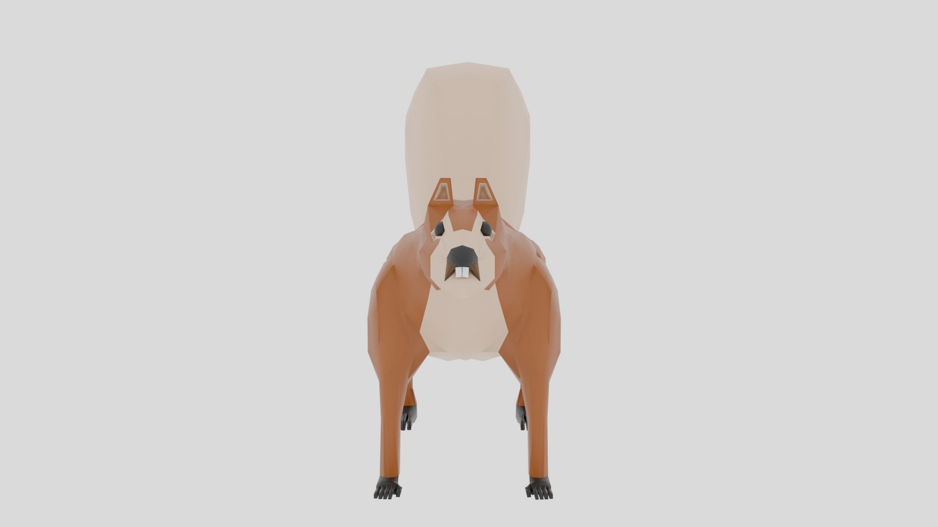 Squirrel Low Poly 3D Model - TurboSquid 2283235