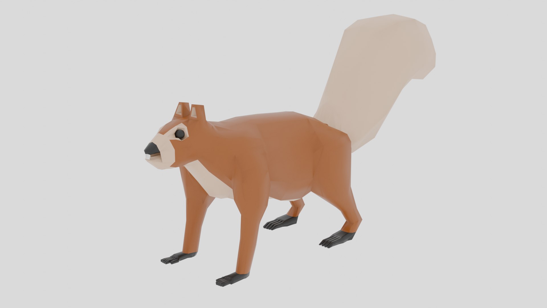 Squirrel Low Poly 3D Model - TurboSquid 2283235