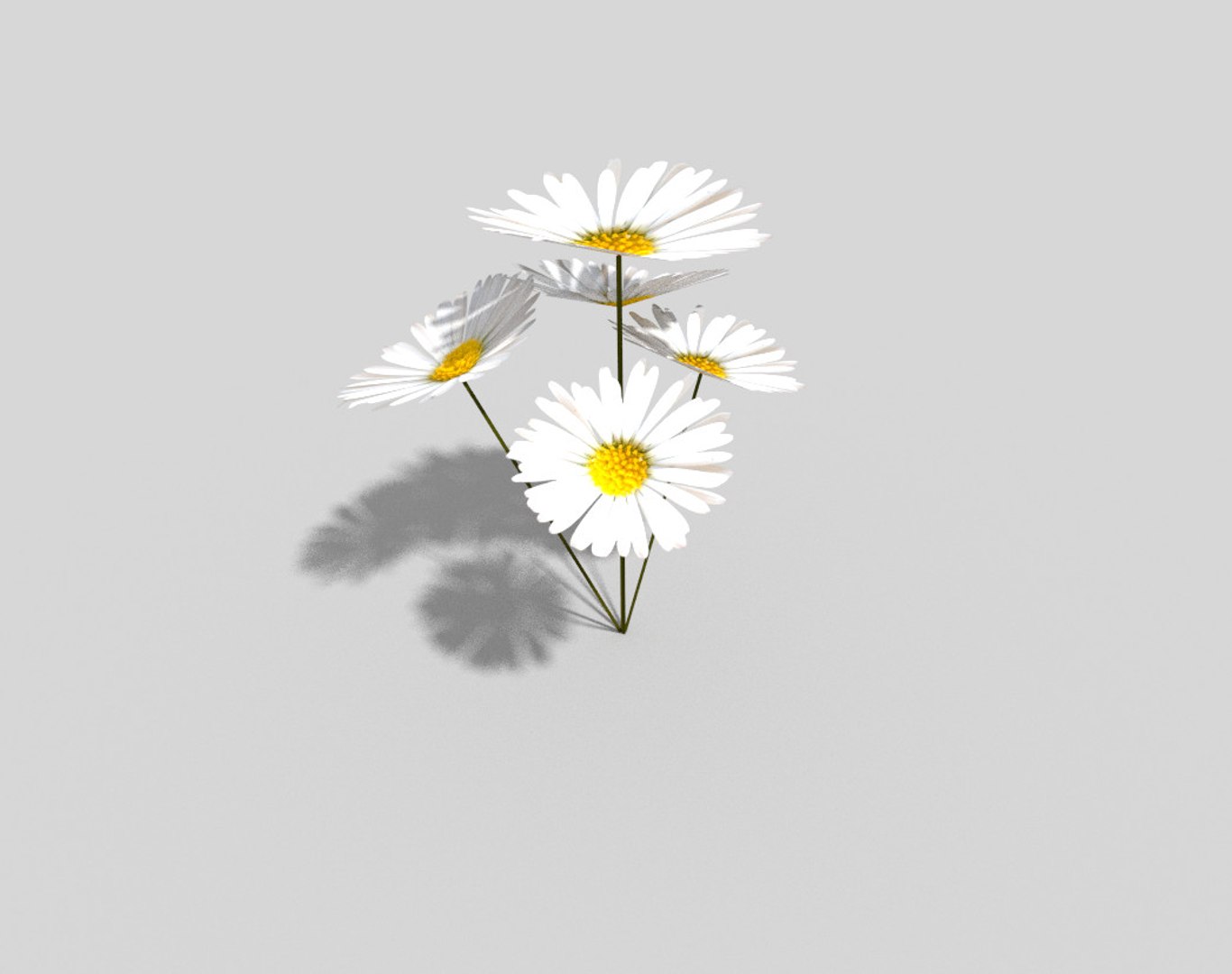3d Flower Games Model