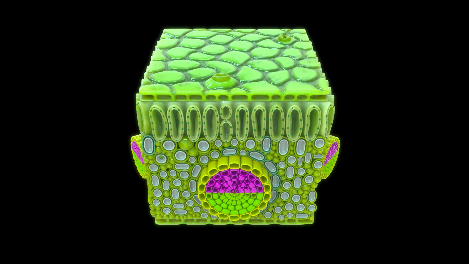 Vascular Tissue 3D Model - TurboSquid 2207482