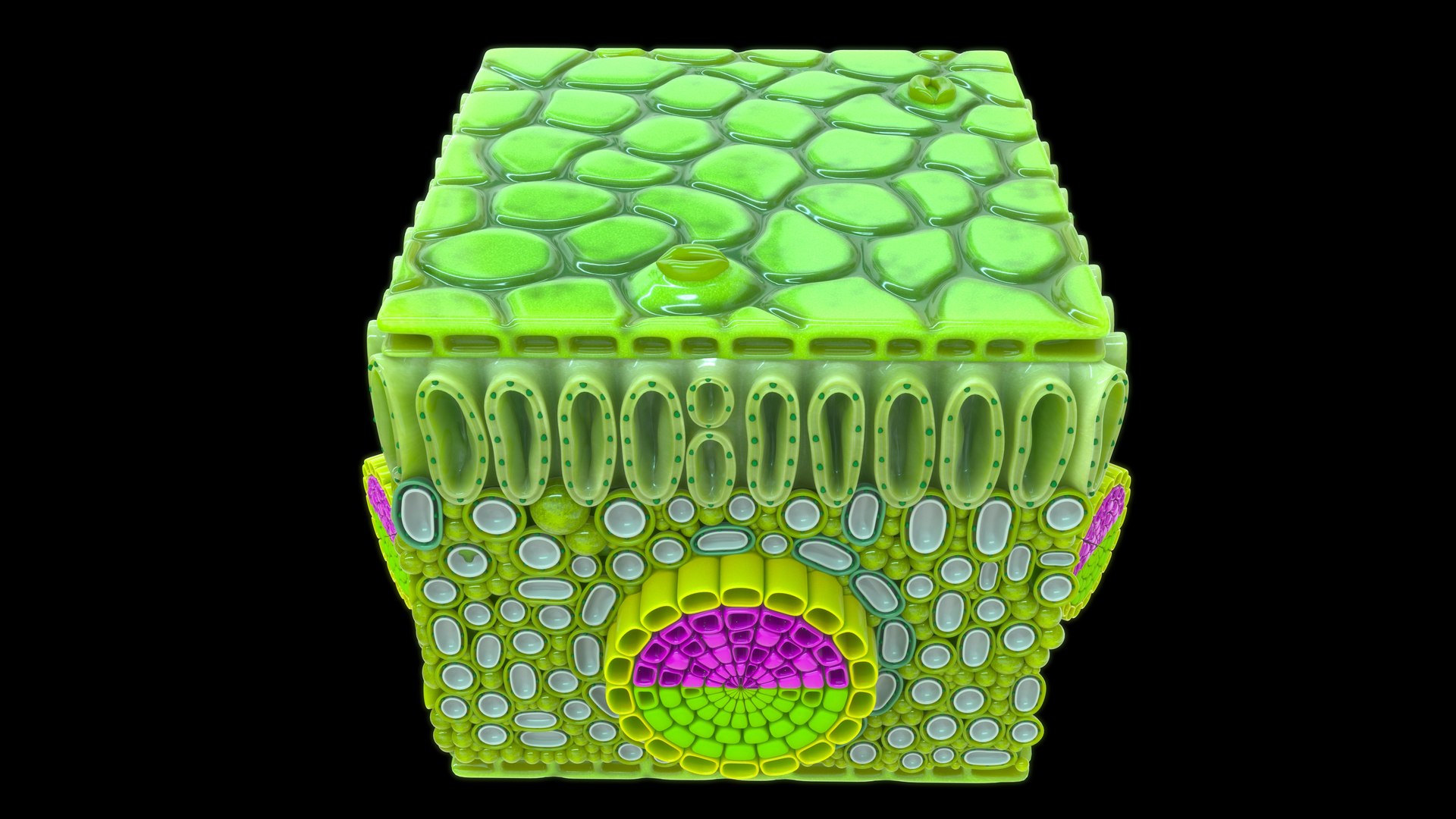 Vascular Tissue 3D Model - TurboSquid 2207482