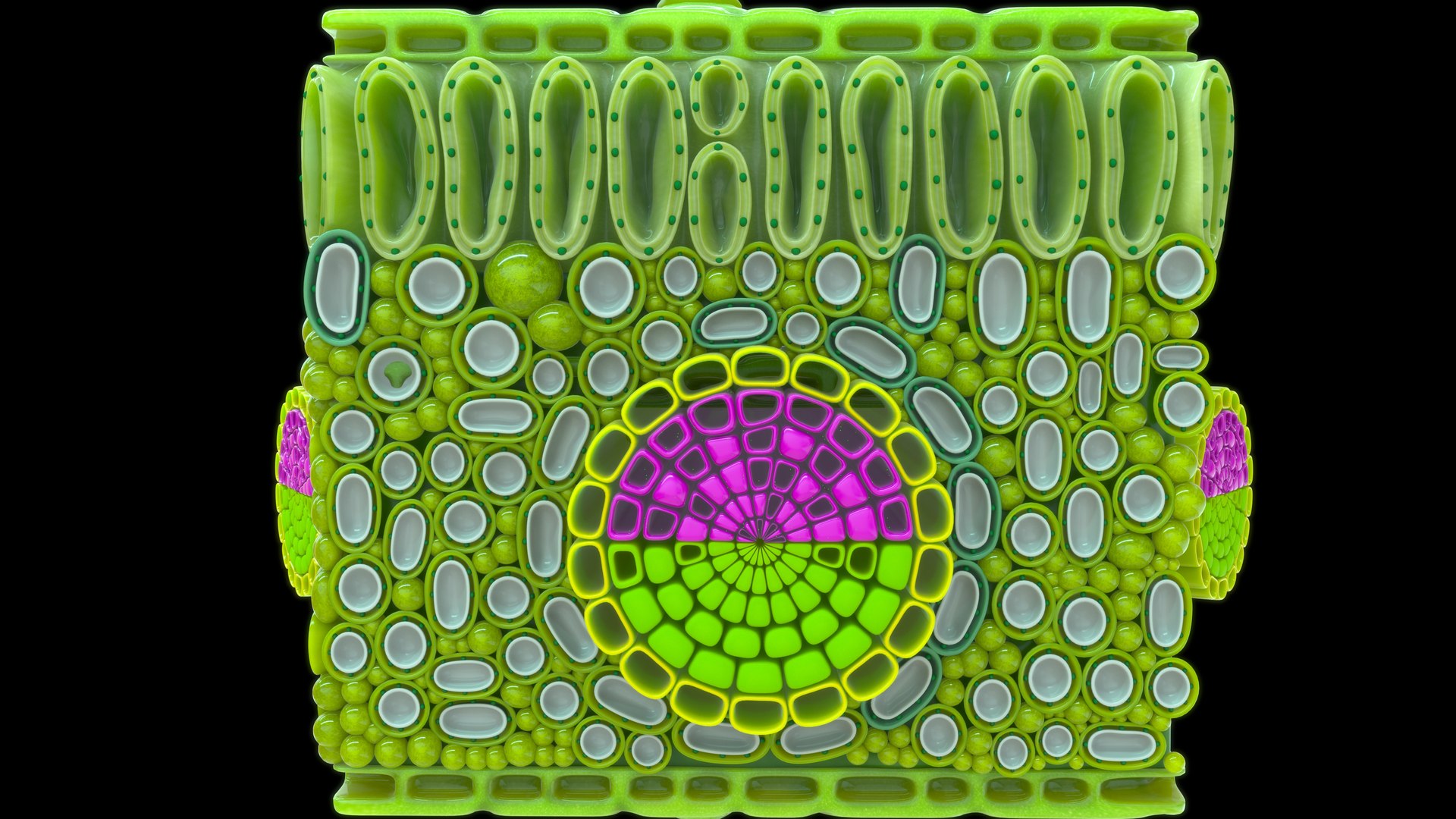 Vascular Tissue 3D Model - TurboSquid 2207482