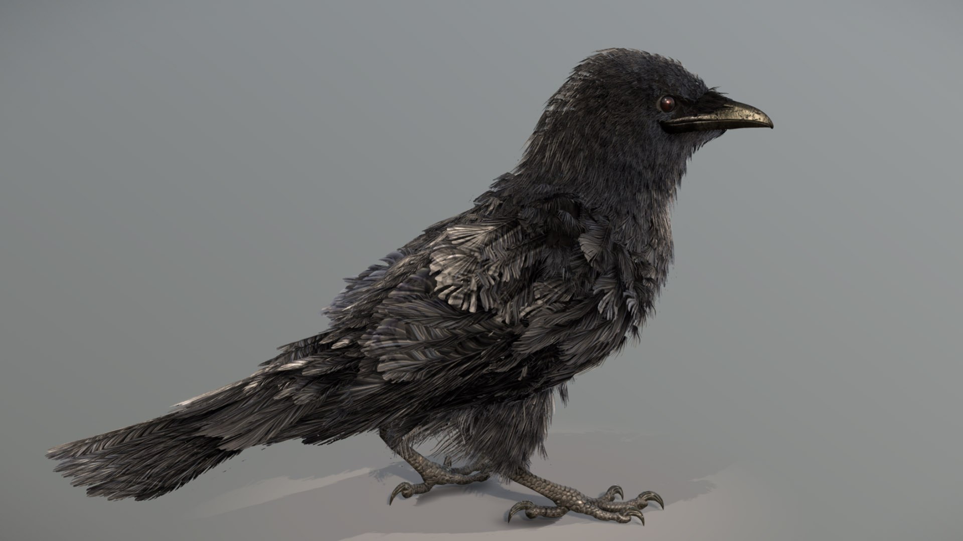 3D American Crow - TurboSquid 2399823