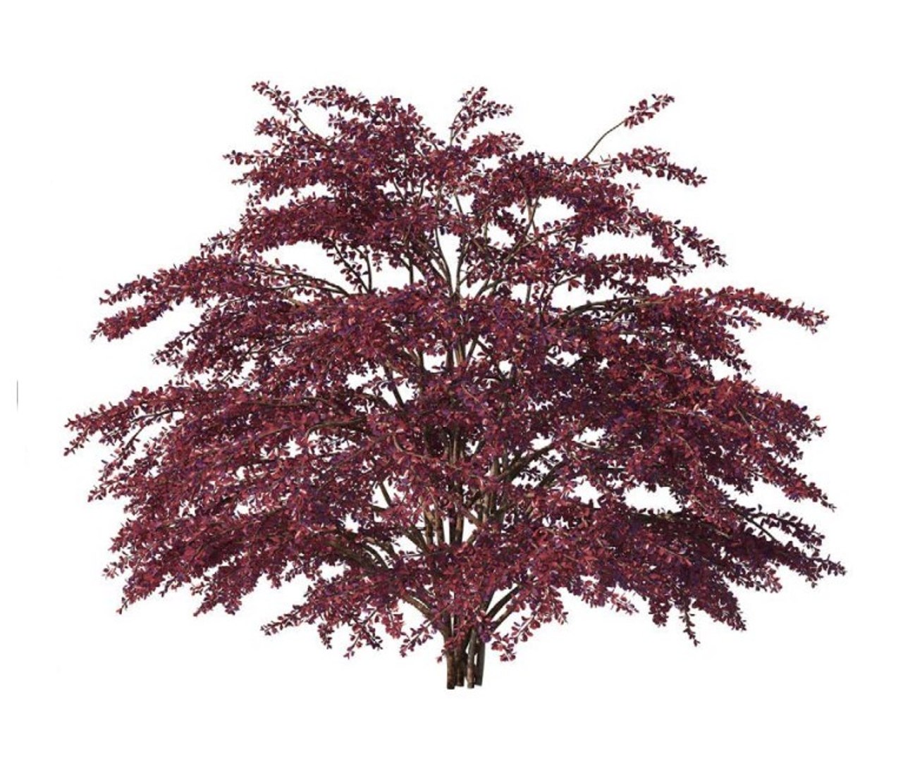 XfrogPlants HDTrees 7 3D Model - TurboSquid 1724827