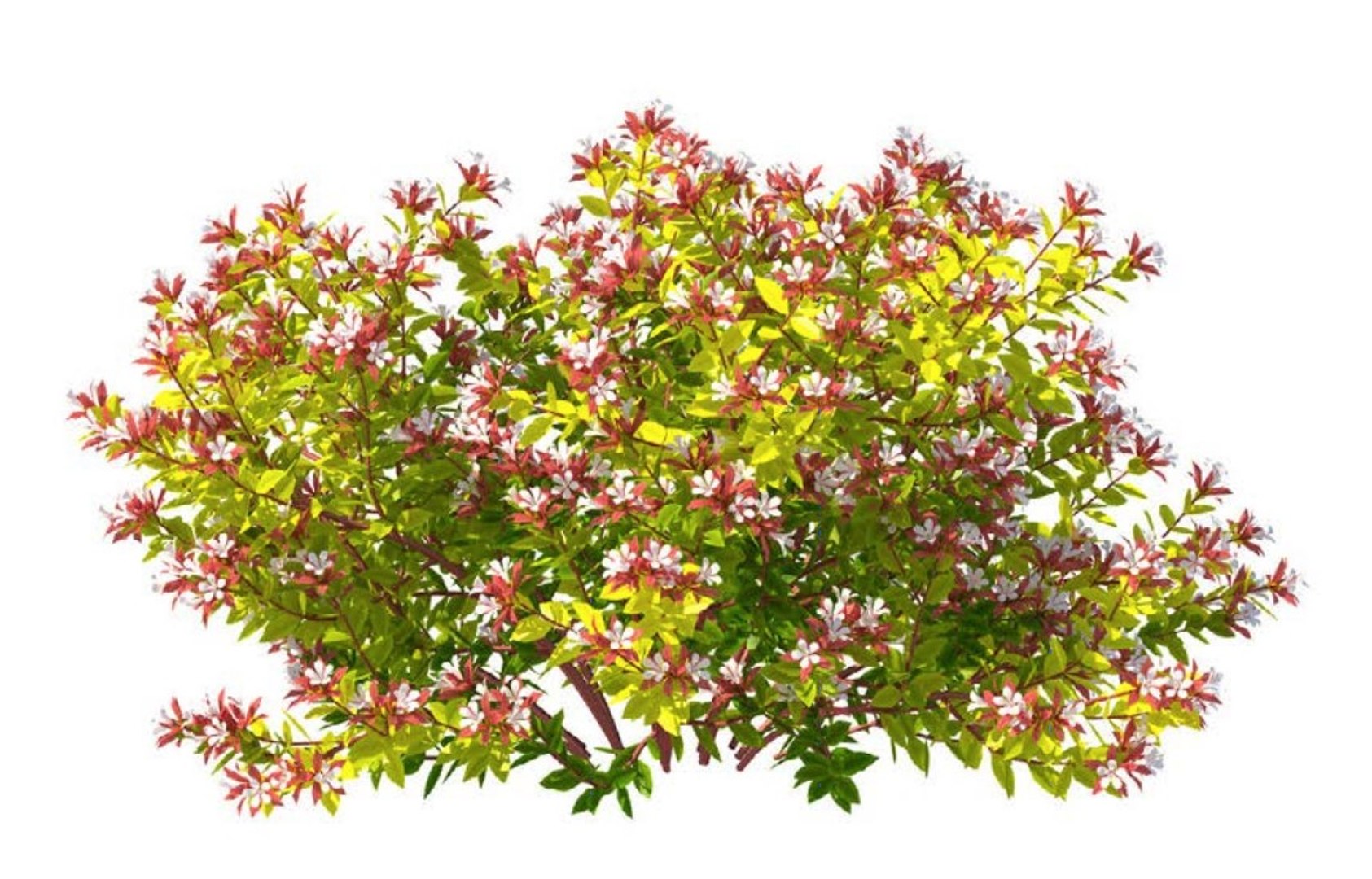 XfrogPlants HDTrees 7 3D Model - TurboSquid 1724827