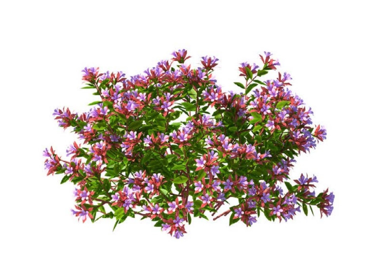 XfrogPlants HDTrees 7 3D Model - TurboSquid 1724827