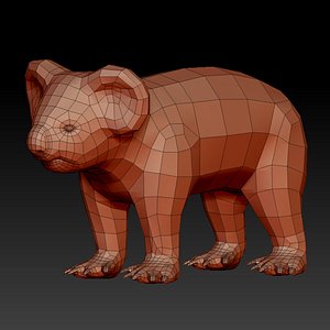 Koala 3D Models for Download | TurboSquid